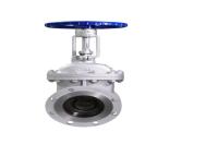 China API 150LB Flanged Gate Valve DN50 to DN600 Cast Steel Rising Stem for sale