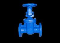 China DIN F5 DN65 Flanged Gate Valve Brass Seal Iron Disc Cast Iron Body 16 Bar for sale
