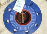China GB Standard Cast Iron DN500 Flange Check Valve for Horizontal and Vertical Pipes for sale