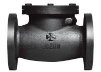 China Cast Iron Dn40 Flanged Swing Check Valve Water Material Medium Temperature for sale