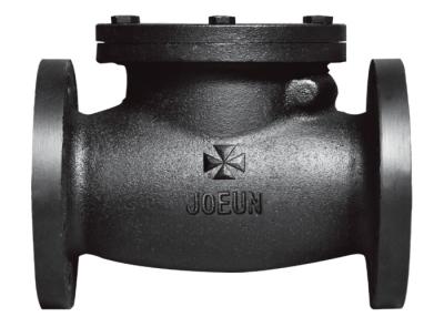 China Cast Iron Dn40 Flanged Swing Check Valve Water Material Medium Temperature for sale
