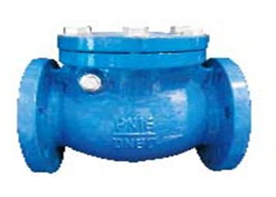 China DN50 Swing Check Valve Flange Type Cast Iron Body Steel Metal Seat 1.6MPa for sale