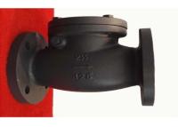 China 2 Inch Flanged Swing Check Valve for Reclaimed Water Pipeline Cast Iron Body for sale