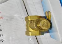 China 1.6MPa Brass Check Valve for Water Supply Line 1/2 to 2 Inch for sale