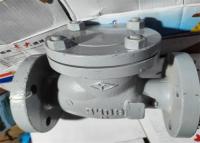 China Carbon Steel Flange End Swing Check Valve DN40-DN300 1.6MPa Gray for sale