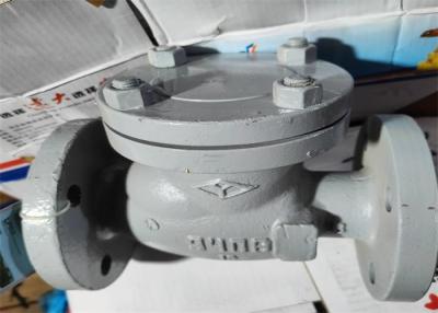 China Carbon Steel Flange End Swing Check Valve DN40-DN300 1.6MPa Gray for sale