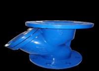China DIN Standard Cast Iron Y Strainer Valve 304 Filter Net Flange End 1.6MPa 100mm for sale