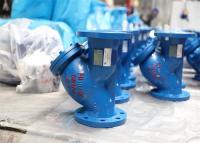 China 10K Cast Iron Y Strainer Valve for Water Steam Medium DN65 to DN150 for sale
