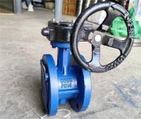 China Metal Flanged Butterfly Valve DN50 DN65 DN80 2 2.5 3 Inch Blue Color for sale