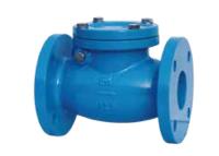 China 125LB ANSI Cast Iron Flanged Swing Check Valve 2 to 16 Inch for sale