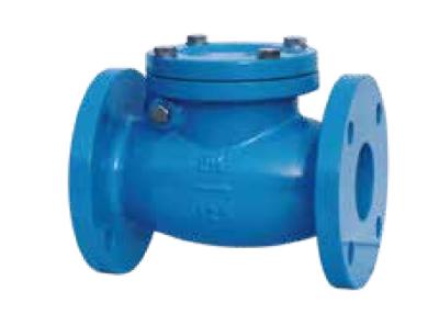 China 125LB ANSI Cast Iron Flanged Swing Check Valve 2 to 16 Inch for sale