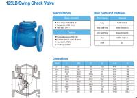 China 125LB ANSI Cast Iron Flanged Swing Check Valve 2 to 16 Inch for sale