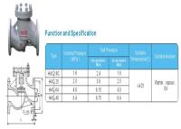 China PN16 Cast Carbon Steel Lift Check Valve DN15-DN250 Flanged Ends for Steam Water Oil for sale