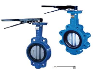 China API DIN 2 Inch Wafer Butterfly Valve PN1.0 1.6Mpa Pinless Cast Iron for sale