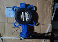 China API DIN 2 Inch Wafer Butterfly Valve PN1.0 1.6Mpa Pinless Cast Iron for sale