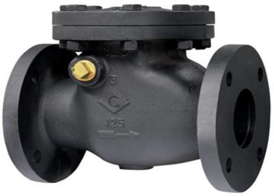 China ANSI Rustproof Cast Iron Swing Check Valve , Hydraulic Swing Check Valve Flanged for sale