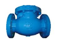 China BS 5153 Flanged Swing Check Valve PN16 Cast Iron DN50-DN300 Blue for sale