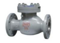 China WCB Stainless Steel Swing Check Valve DN40-DN400 1.6-2.5MPa Anticorrosive for sale