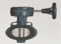 China Korean Standard Worm Wheel Butterfly Valve 10K Wafer Type Cast Iron DN50 to DN300 for sale