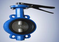 China Anticorrosive Ductile Iron Pinless Wafer Butterfly Valve 1.0-1.6 Mpa DN40-DN300 for sale