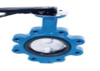 China Cast Iron Split Shaft Lug Wafer Butterfly Valve 1.0 1.6 Mpa Pinless DN40 to DN300 for sale
