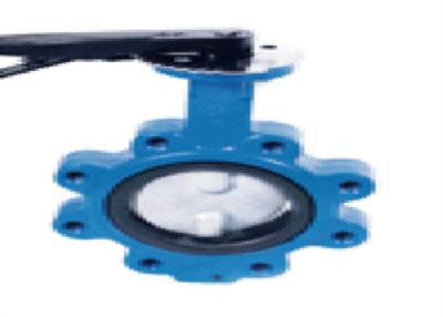 China Cast Iron Split Shaft Lug Wafer Butterfly Valve 1.0 1.6 Mpa Pinless DN40 to DN300 for sale