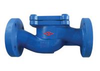 China Cast Iron Lift Check Valve 1.6 MPa Flanged for Water Oil Gas Anti Oxidation for sale