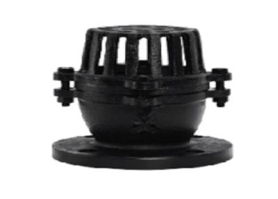 China Cast Iron 10K Foot Valve Flange Type Rustproof Anti Oxidation DN50 to DN150 for sale