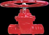 China Ductile Iron Soft Seal Grooved End Non Rising Stem Gate Valve DN50-DN200 for sale