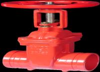 China Rising Stem Grooved Ductile Iron Gate Valve 1.6MPa Fire Protection Soft Seal for sale