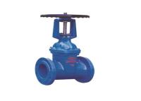 China Anti Oxidation Ductile Iron Rising Stem EPDM Gate Valve 1MPa 80C Flanged for sale