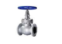 China WCB Cast Steel Flanged Globe Valve J41H 150LB API Standard 2 inch for sale