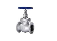 China DIN Cast Steel Globe Valve J41H 300LB WCB Flanged API Standard for sale