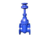 China DN50 Flanged Gate Valve Cast Iron 1.0 Mpa Motorized Cuniform for sale