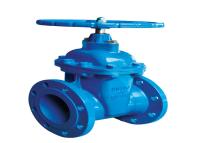 China Ductile Iron Resilient Seat Flanged Gate Valve 1.6MPa 3 Inch Non Rising Stem for sale