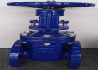 China Rising Stem Dn300 Brass Gate Valve Flange Type Blue Color for sale