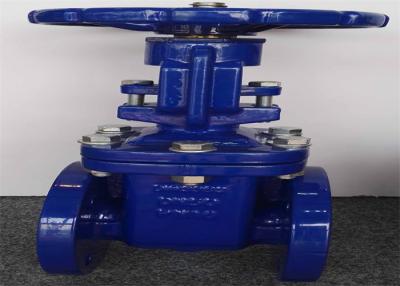China Rising Stem Dn300 Brass Gate Valve Flange Type Blue Color for sale