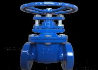 China DIN F4 Non Rising Stem Flanged Gate Valve DN250 Cast Iron Brass Seal Iron Disc for sale