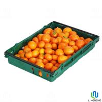 China Lightweight 18L Plastic Fruit And Vegetable Crates / Stacking Plastic Crates With Handle for sale