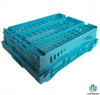 China 8L High quality euro stackable vented plastic mushroom tomato returnable agriculture crate for sale