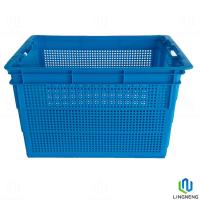 China Versatile Vegetable Storage Crates Stackable Plastic Agricultural Crates For Storing Fresh Produce for sale