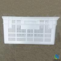 China Farm Lightweight Plastic Crates Manufacturing for Baby Chick for sale