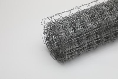 China 2x2 Inch Welded Galvanized Stucco Mesh 16ga Galvanized Wall Cladding Reinforcement for sale