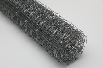 China 16ga Galvanized Steel Wire Metal Lath For Rendering Cement 2inches × 2inches for sale