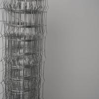 China Versatile Welded Expanded Metal Lath For Stucco 2x2 Grid Wall Plaster Support Weatherproof Design for sale