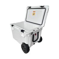 China Hot Sale Plastic in Stocks Large Size Locking Ice Cooler Box for sale