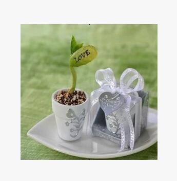 China New creative promotion gift product wedding gift plant bean for sale