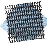 China HDPE Composite Drainage Net 5mm-9mm Thickness Direct Supply White Color Geonet for sale
