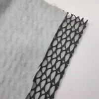 China HDPE Composite Drainage Net 5mm-9mm Thickness Direct Supply White Color Geonet for sale