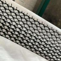 China HDPE Composite Drainage Net 5mm-9mm Thickness Direct Supply White Color Geonet for sale